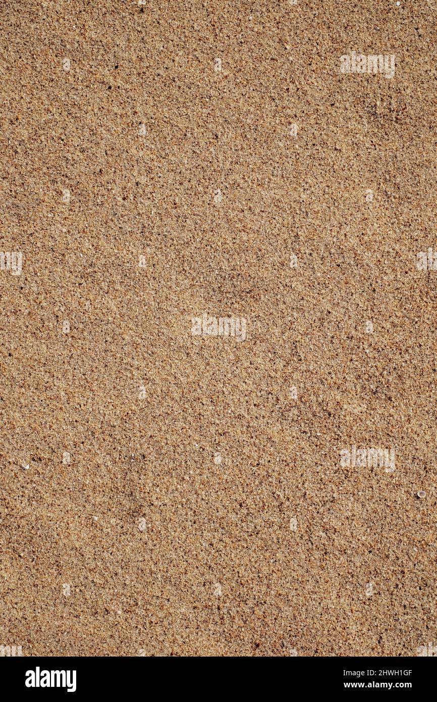sand texture on the beach Stock Photo - Alamy