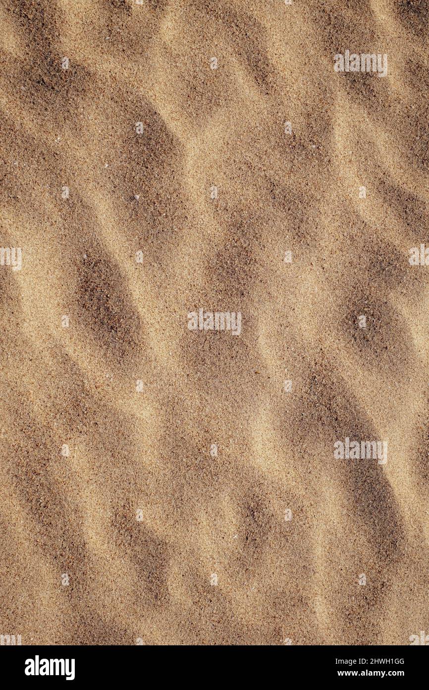 sand texture on the beach Stock Photo - Alamy