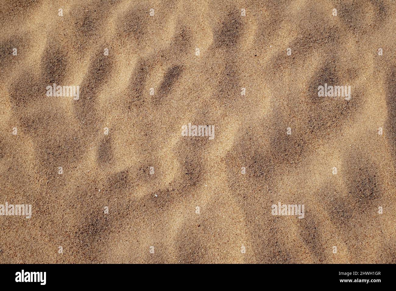 sand texture on the beach Stock Photo - Alamy