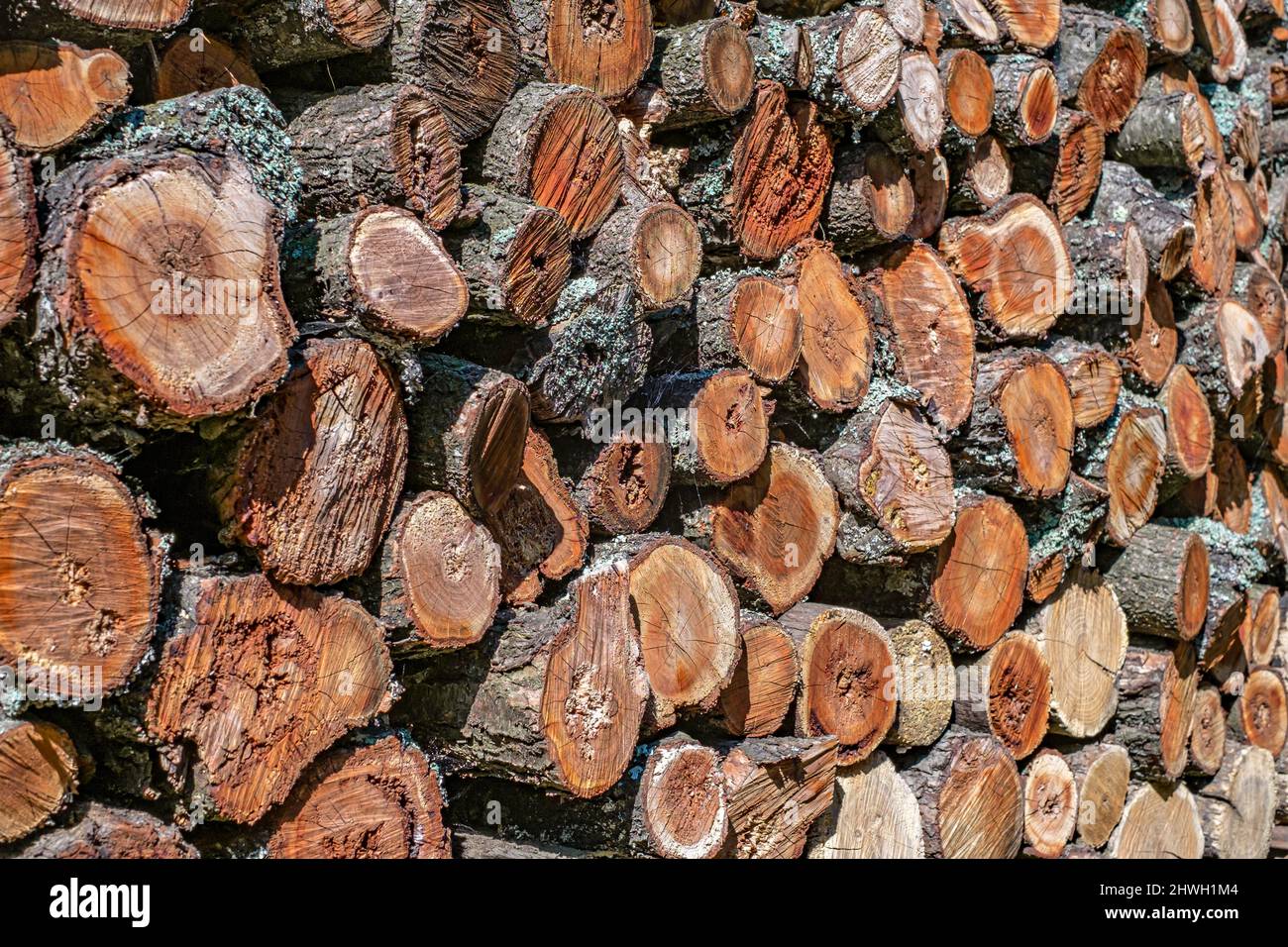 Stack of wood logs for fire Stock Photo - Alamy
