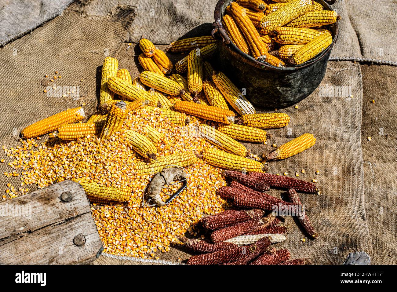 Grain chutes hi-res stock photography and images - Alamy