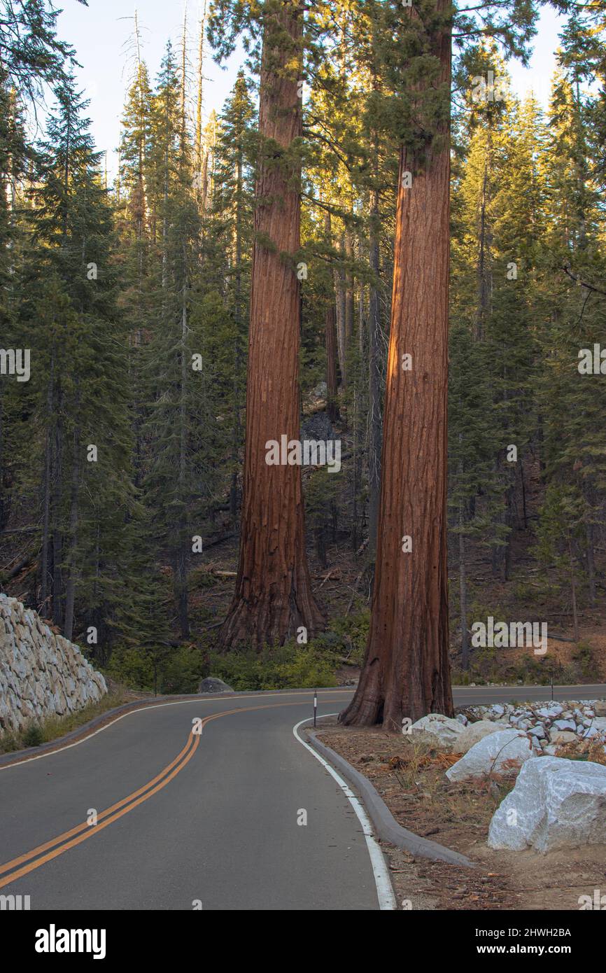 Autumnal natural landscape from Yosemite National Park, California ...