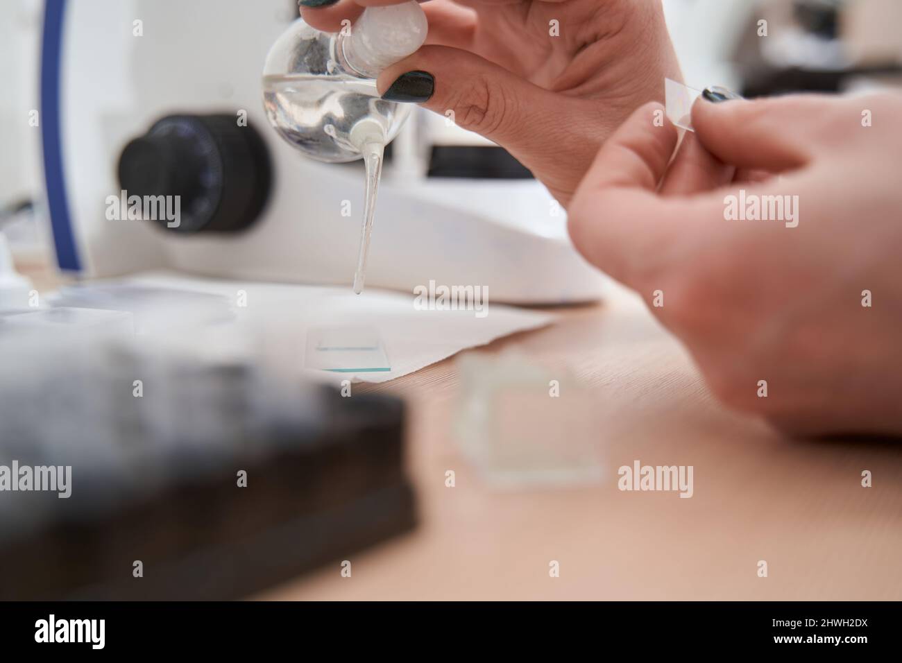 In the laboratory professional doctor doing research Stock Photo - Alamy