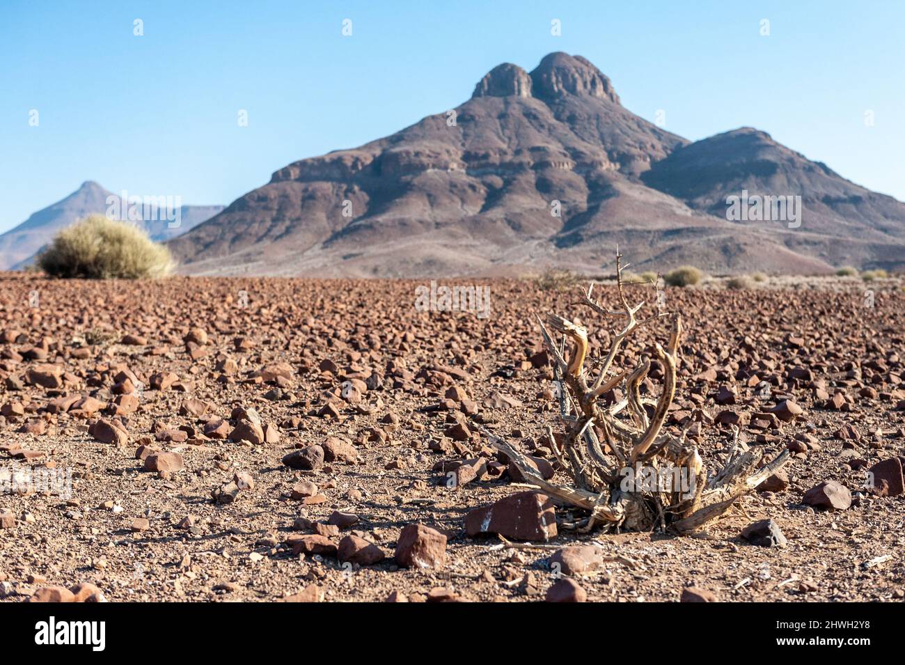 Cyclado hi-res stock photography and images - Alamy