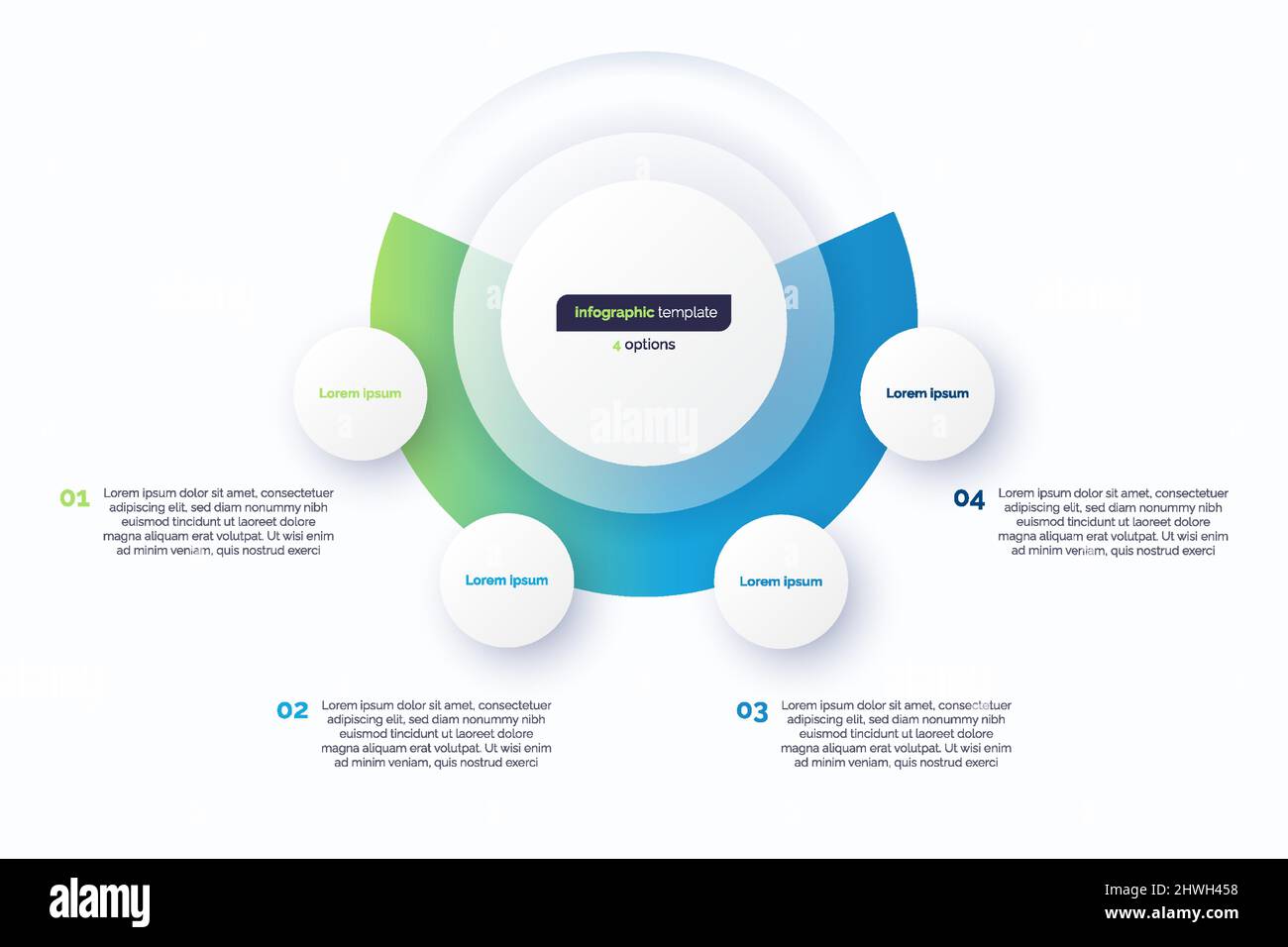 Four option circle infographic design template. Vector illustration ...