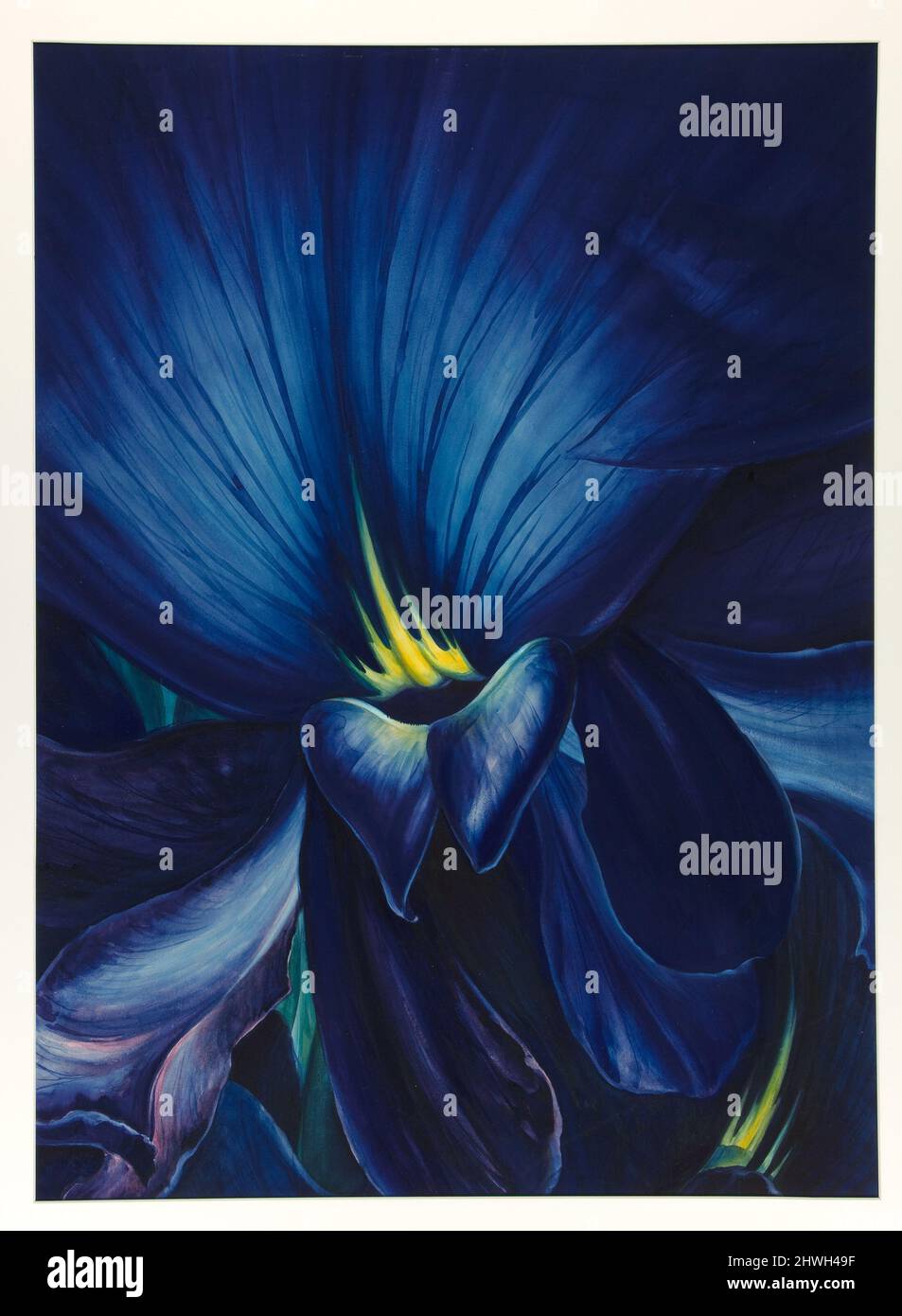 Leon carroll botanical art hi-res stock photography and images - Alamy