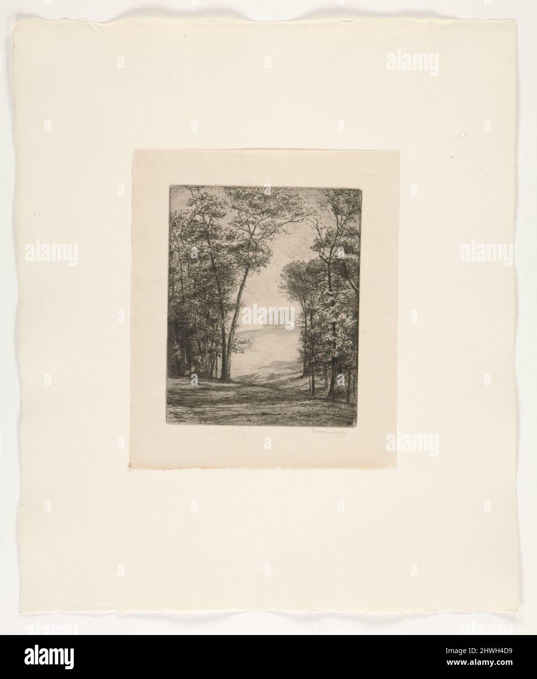 Untitled Landscape (meadow through trees). Artist: William Henry Warren ...