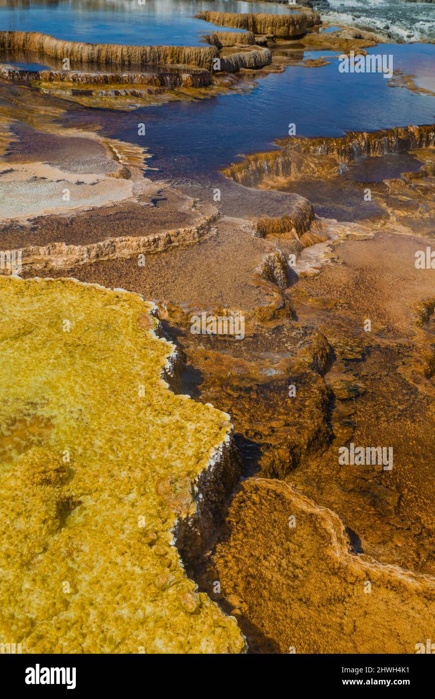 Heat loving microorganisms hi-res stock photography and images - Alamy
