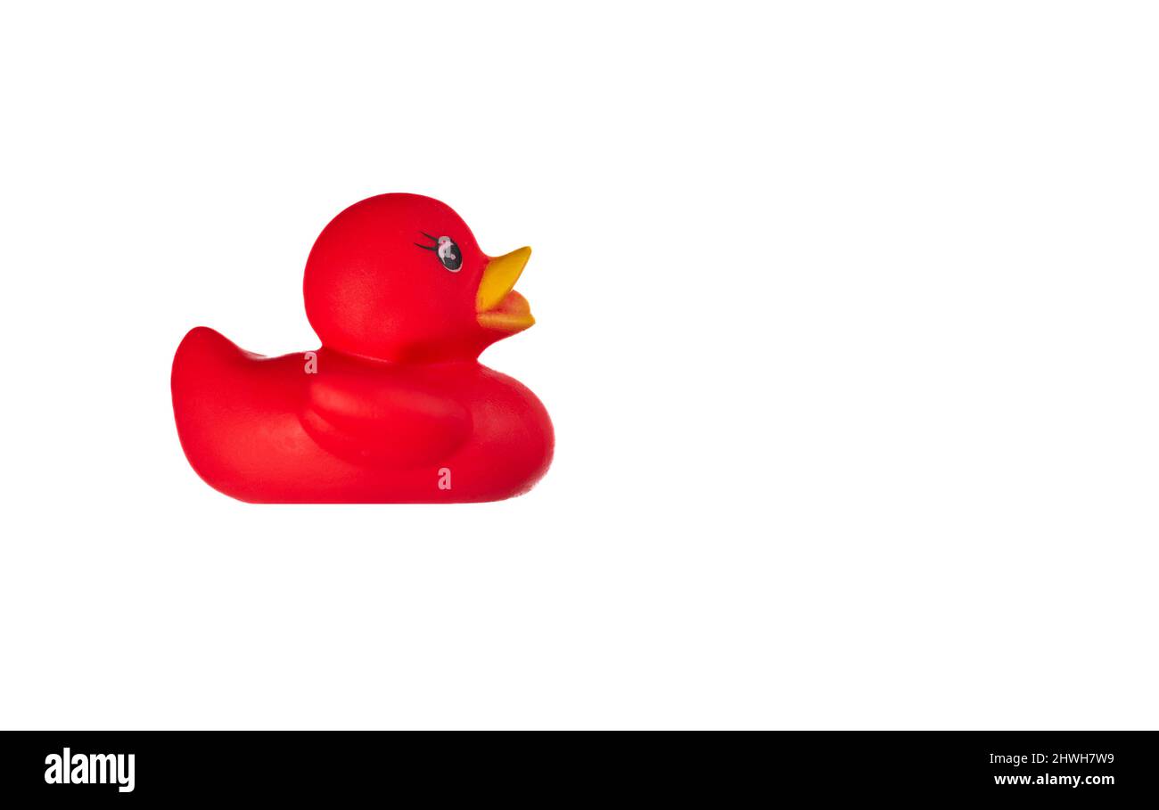 red rubber duck isolated on white Stock Photo - Alamy