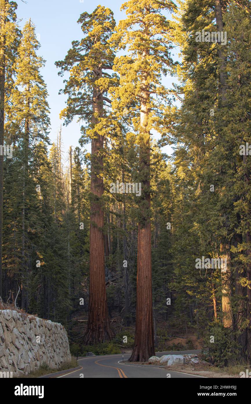 Autumnal natural landscape from Yosemite National Park, California ...