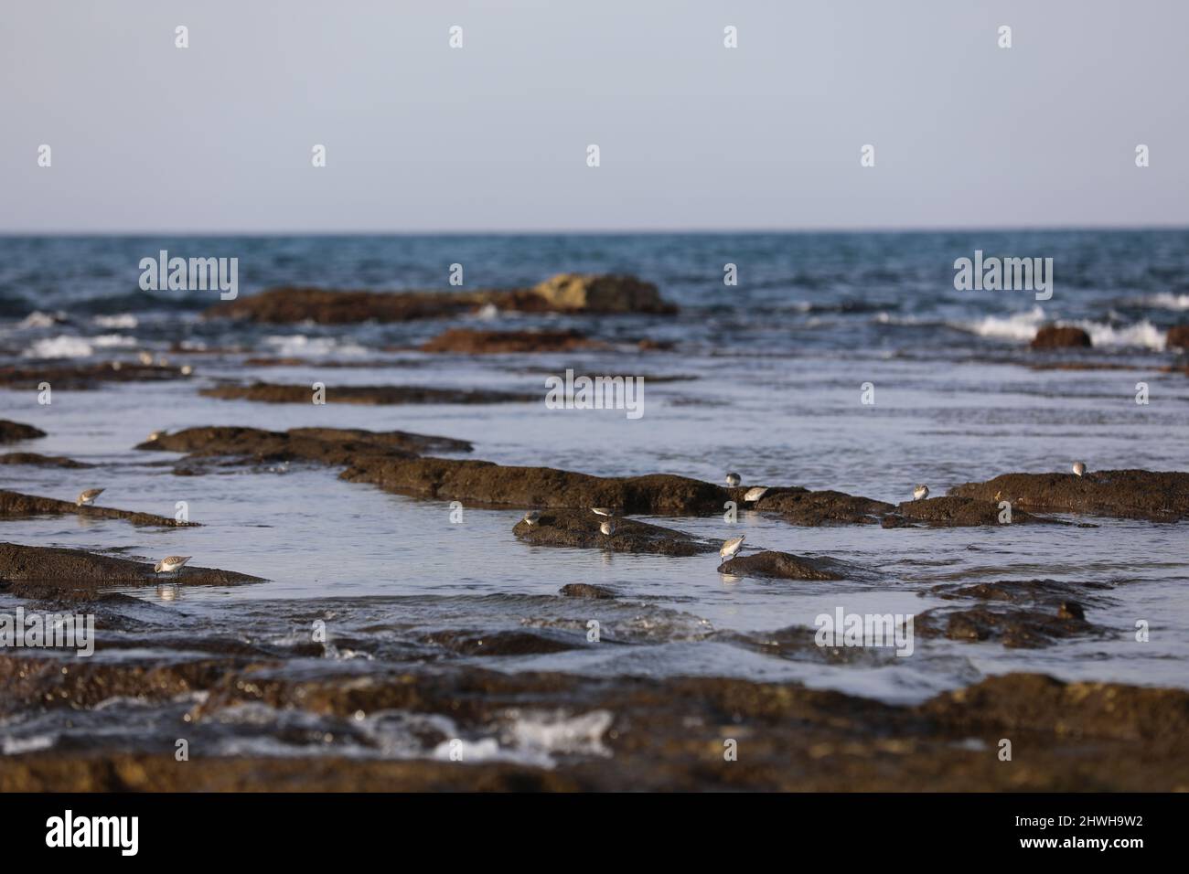 Landscape of rock and sea High quality Stock Photo - Alamy