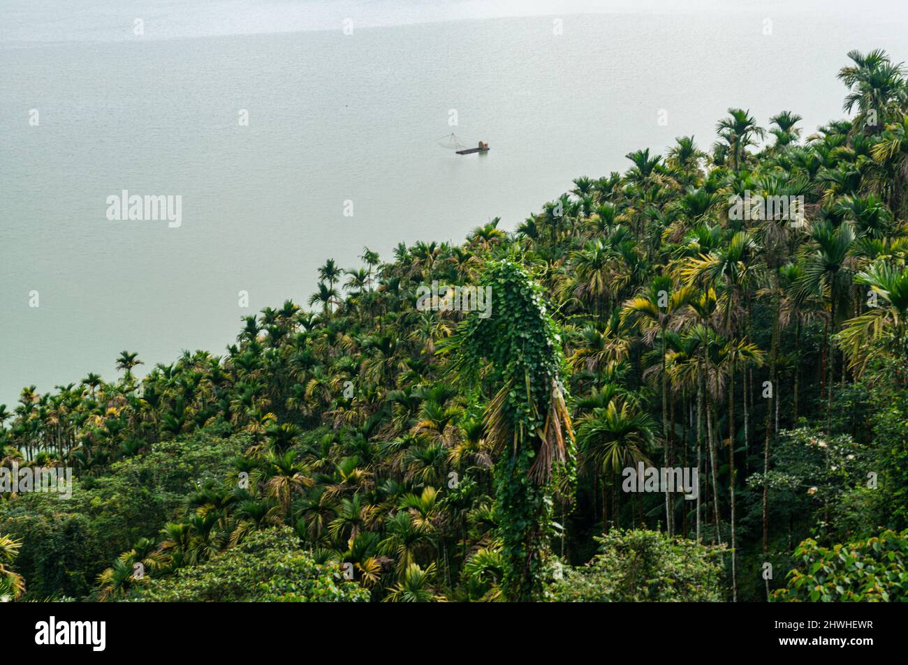 subtropical forest and the Sun Moon Lake in nantou Taiwan Stock Photo ...