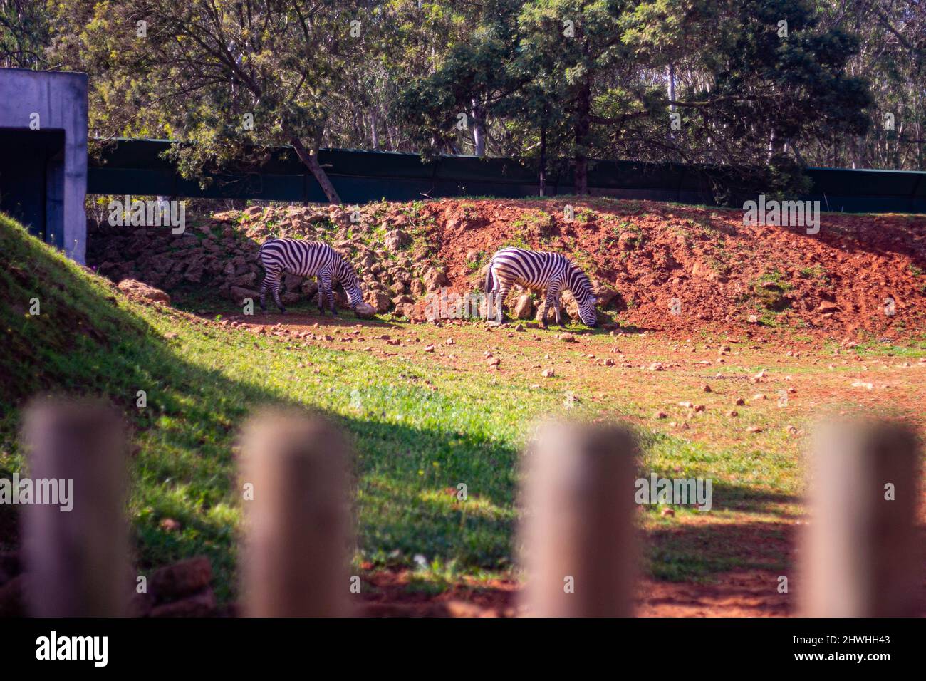 Map of a zoo in africa hi-res stock photography and images - Alamy