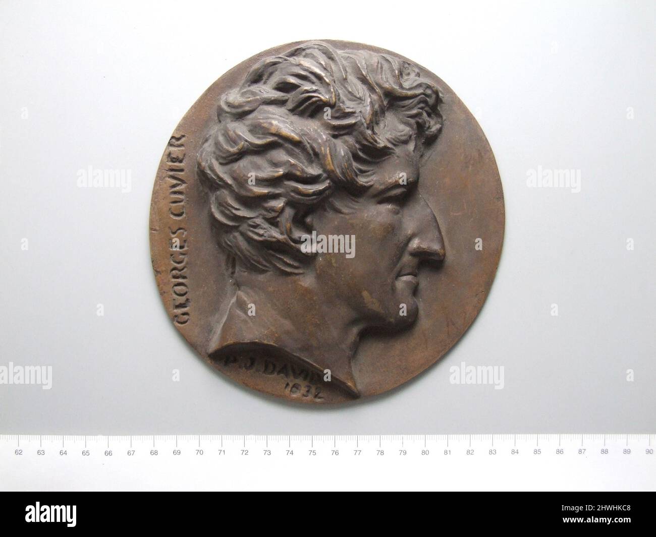 Georges Cuvier: bronze cast Stock Photo - Alamy