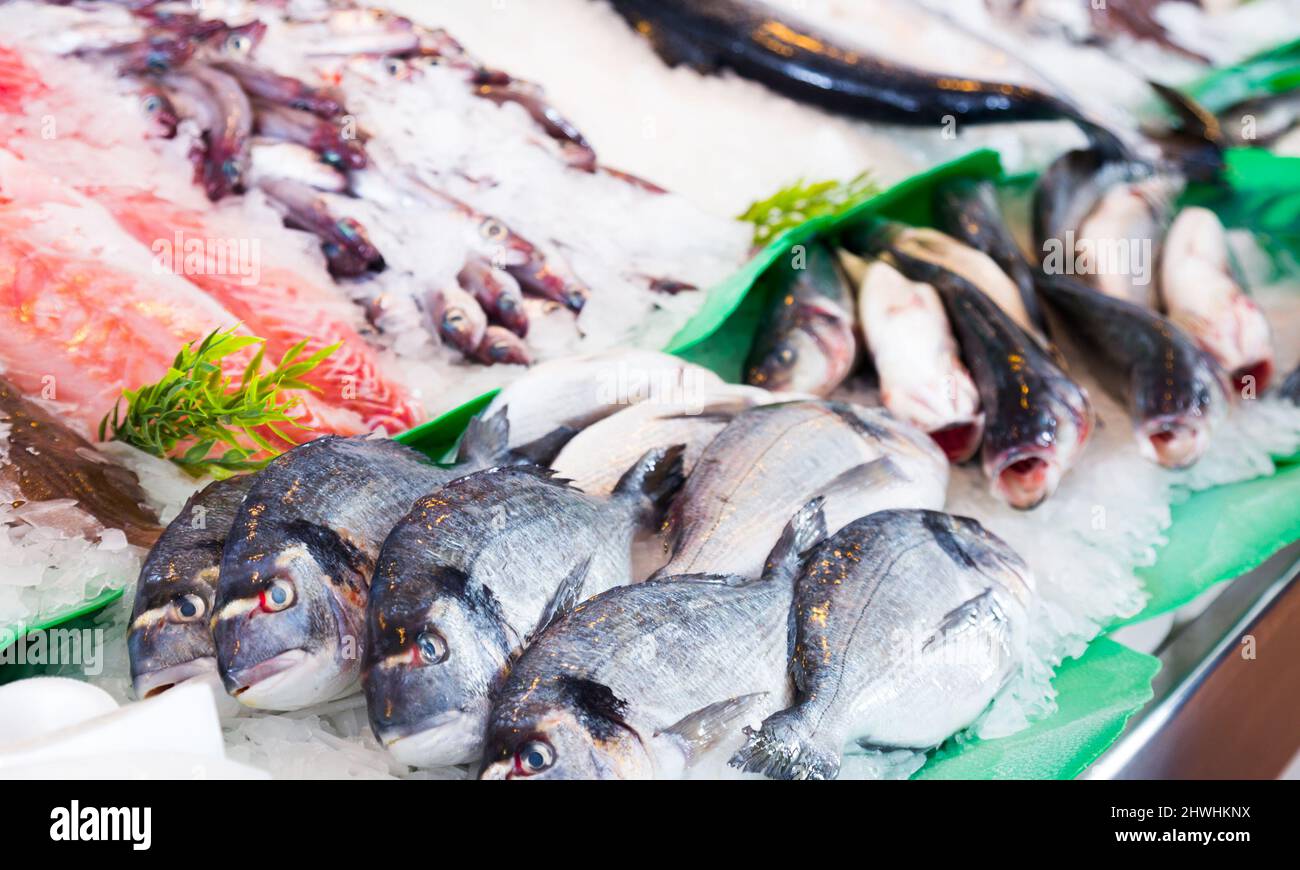 dorado on fish market Stock Photo - Alamy