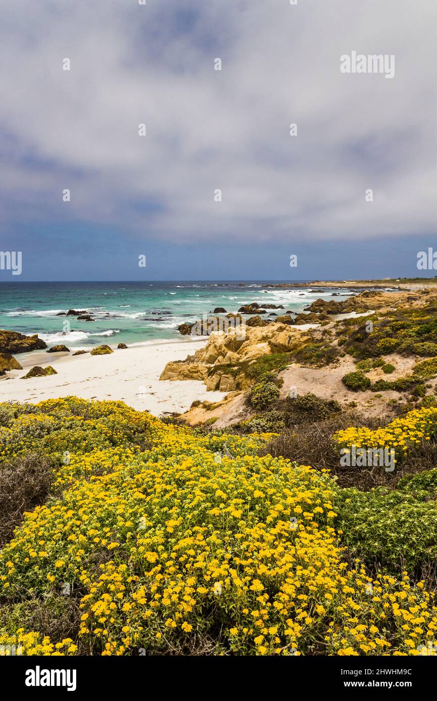 Monterey peninsula, California Stock Photo - Alamy