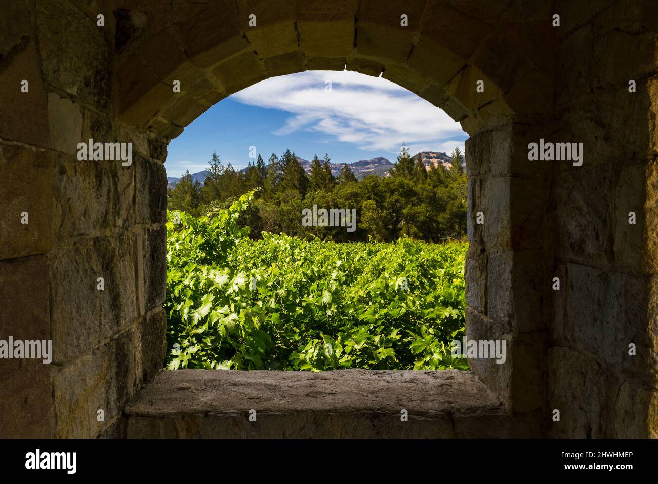 Napa valley color summer hi-res stock photography and images - Alamy
