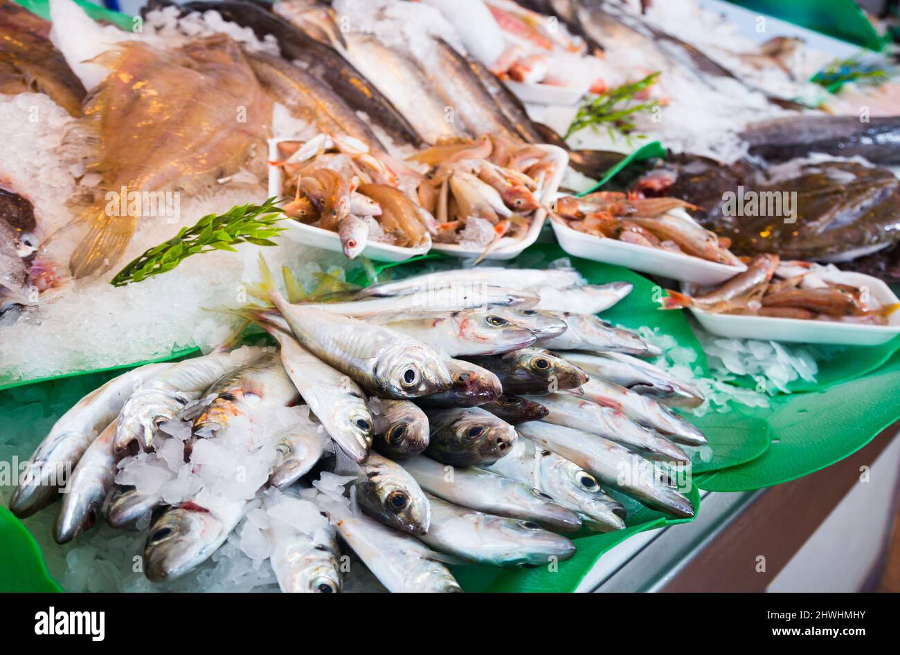 fish on fish market Stock Photo - Alamy