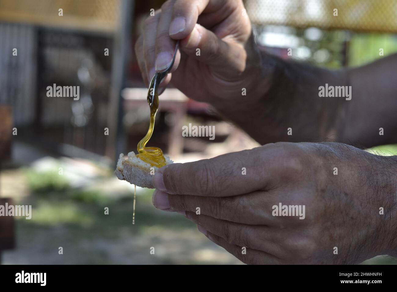 Honey dripping on a bread from a steel spoon Stock Photo - Alamy