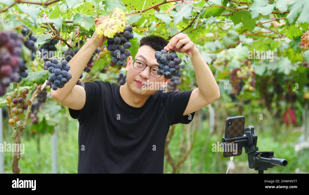 Xiadang hi-res stock photography and images - Alamy