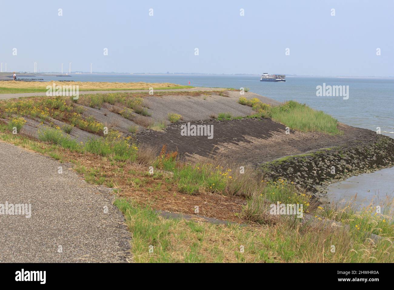 a coast landscape of flushing with the seawall in front of the ...
