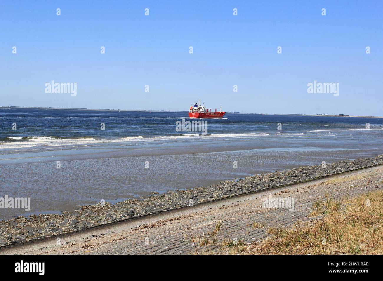 a dutch coast landscape in zeeland with a red ship in the westerschelde ...