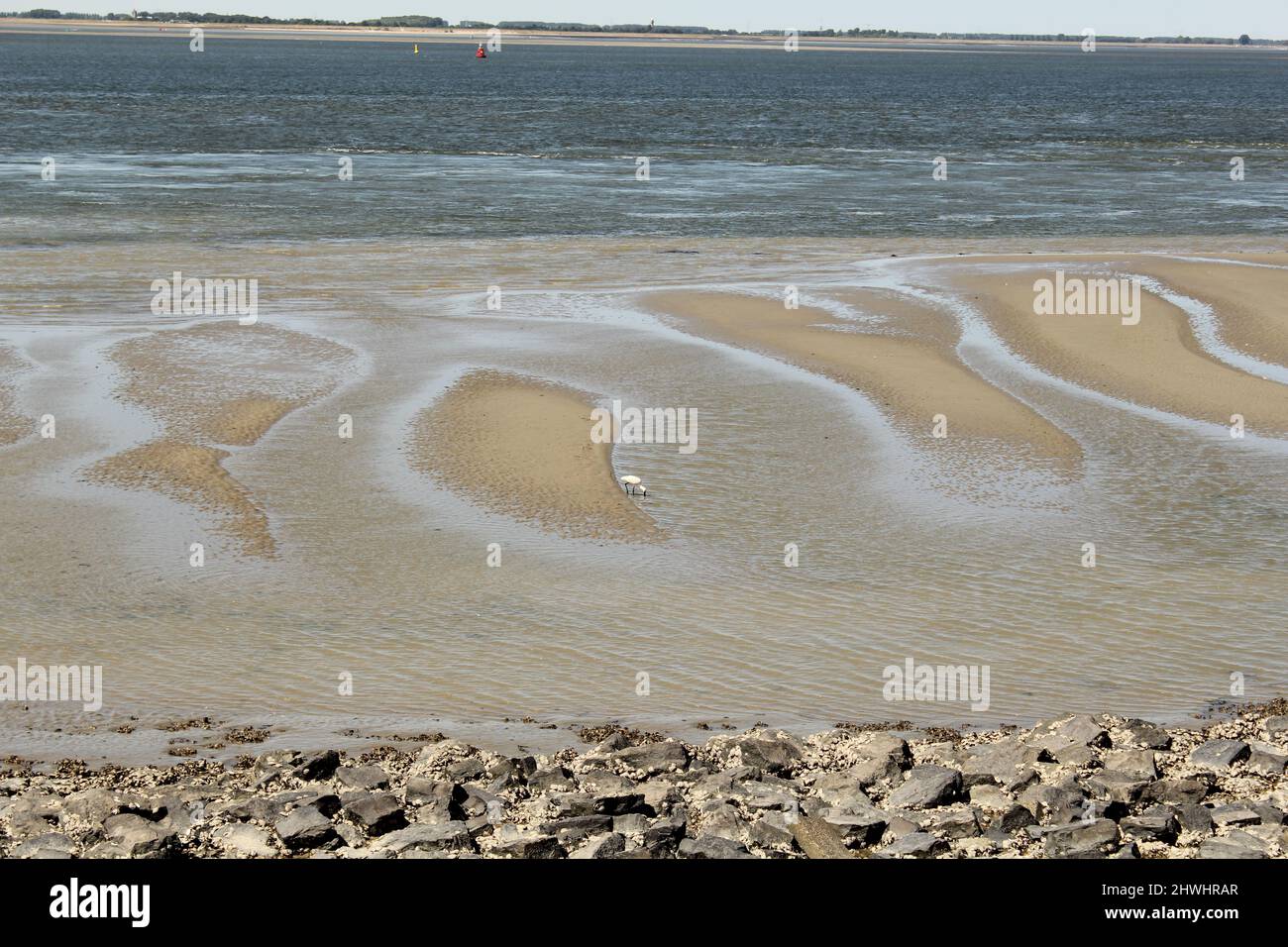 a dutch coast landscape with an artistic pattern of little sandbanks at ...