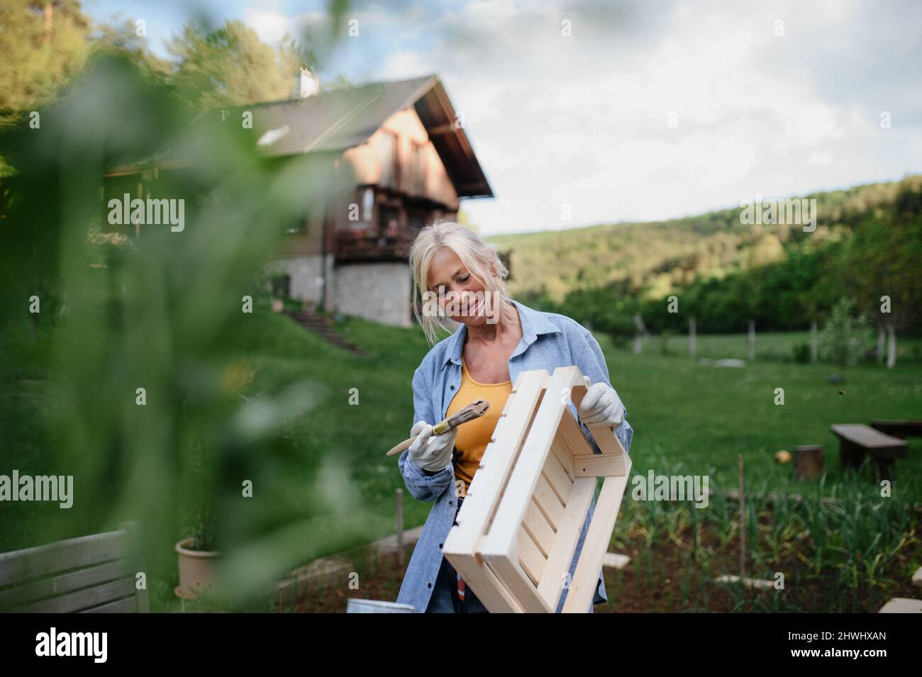 Impregnating varnish hi-res stock photography and images - Alamy
