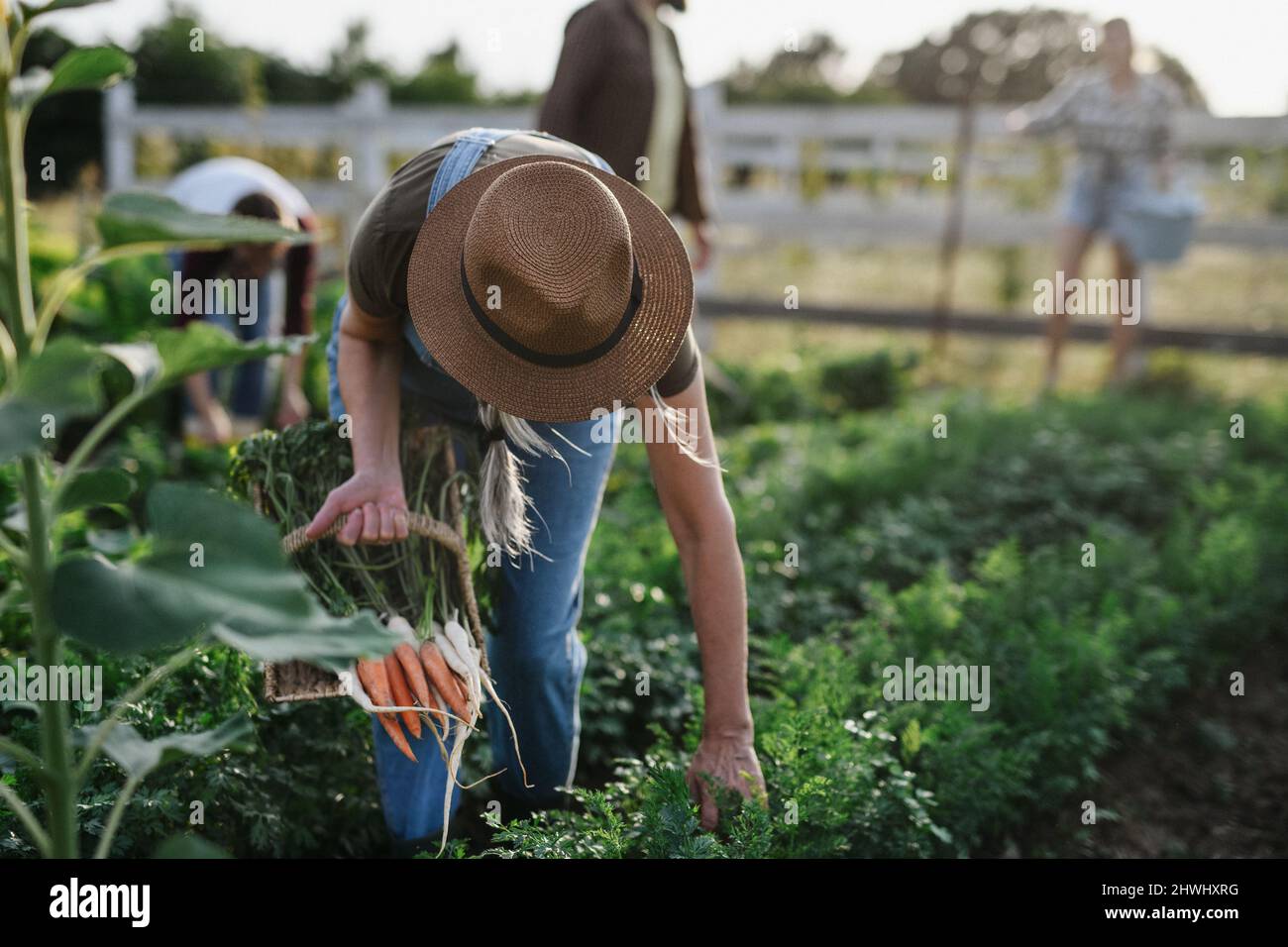 Community farmer hi-res stock photography and images - Alamy