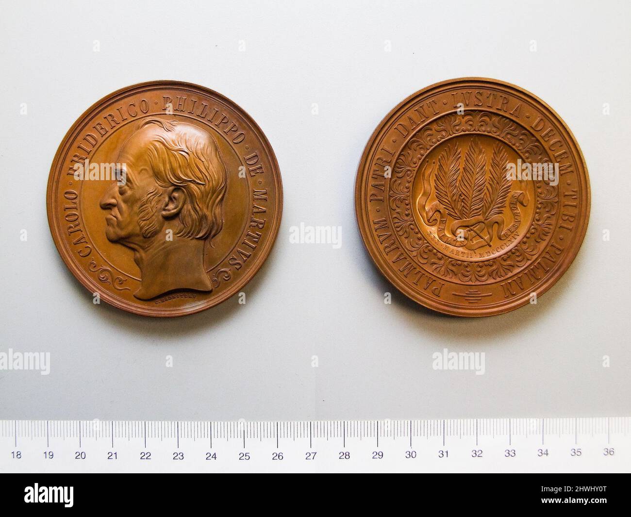 Medal of Dr Carl von Martius. Subject: Dr. Carl Friedrich Phillip von ...