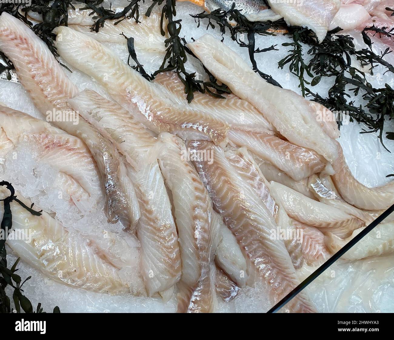 Closeup of many fresh raw atlantic cod fish filets on ice at counter in ...