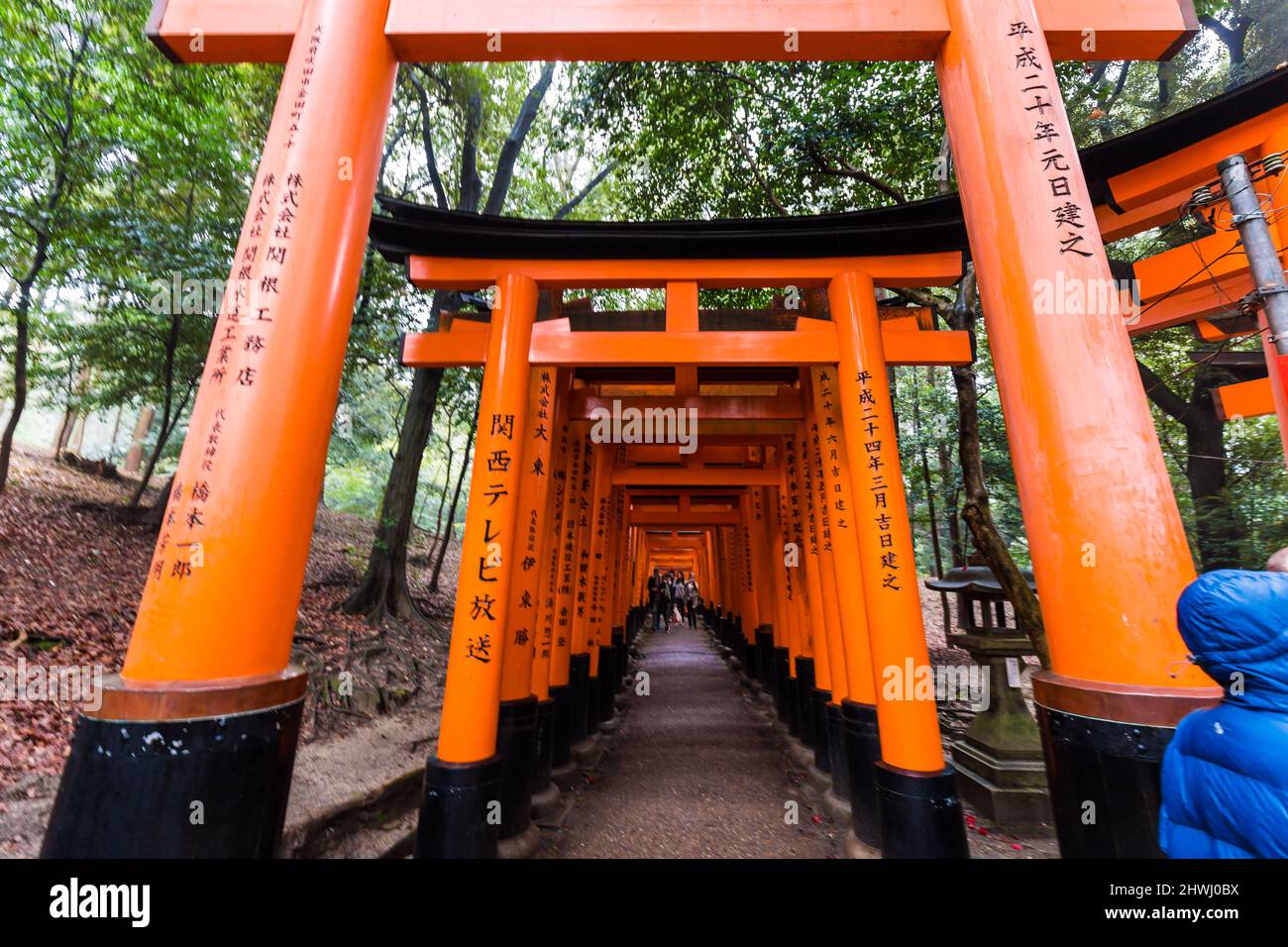 Red tori gate pathway in Fushimi inari shrine of Kyoto, Japan Stock ...