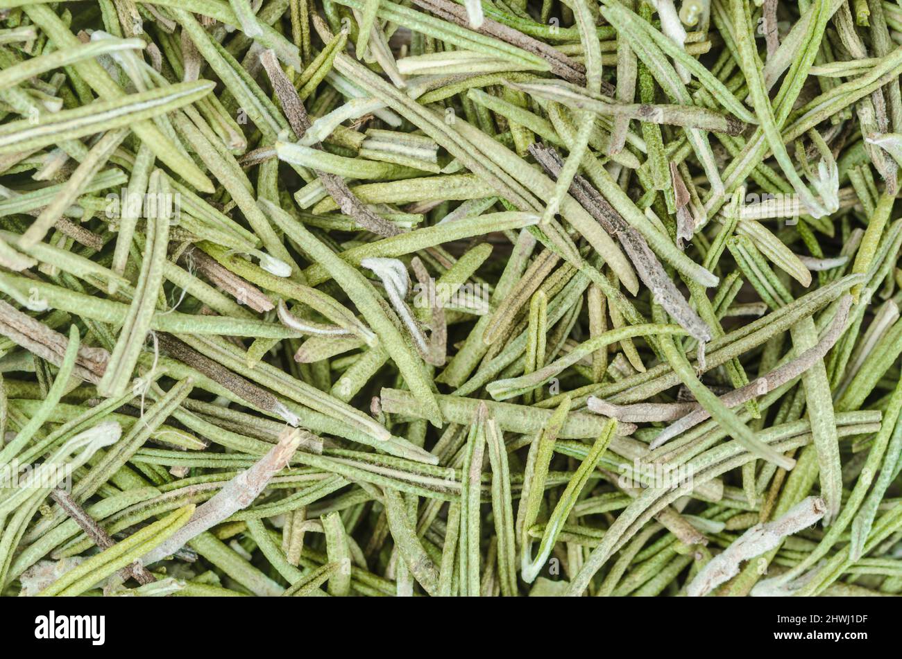 The dried rosemary condiment background solid Stock Photo - Alamy