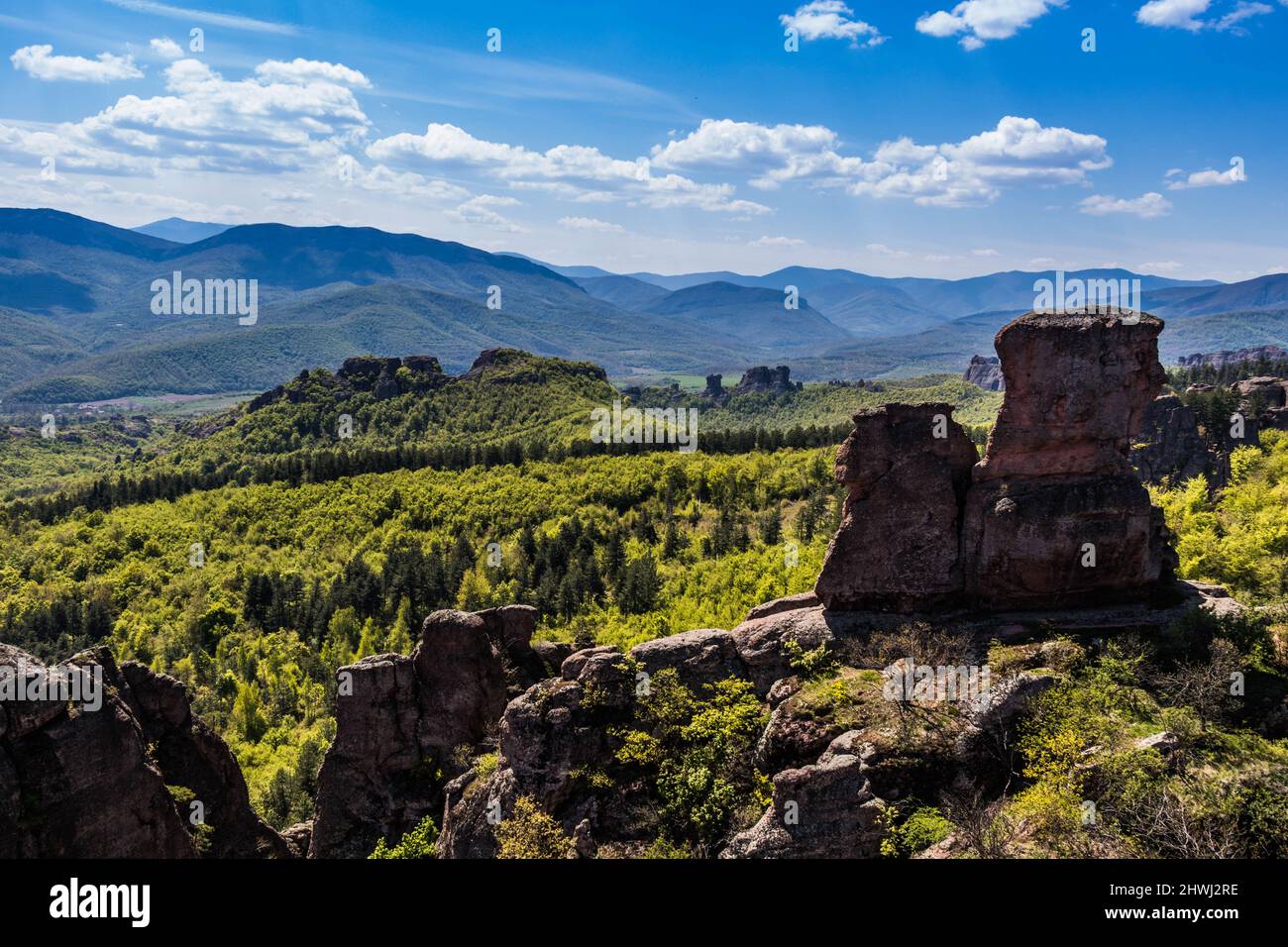 The beautiful nature of the Belogradchik Rocks in Bulgaria, late spring ...