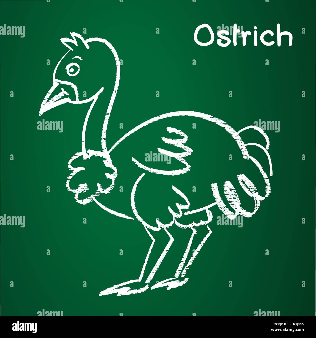 Vector image of an ostrich on the blackboard. Easy editable layered ...