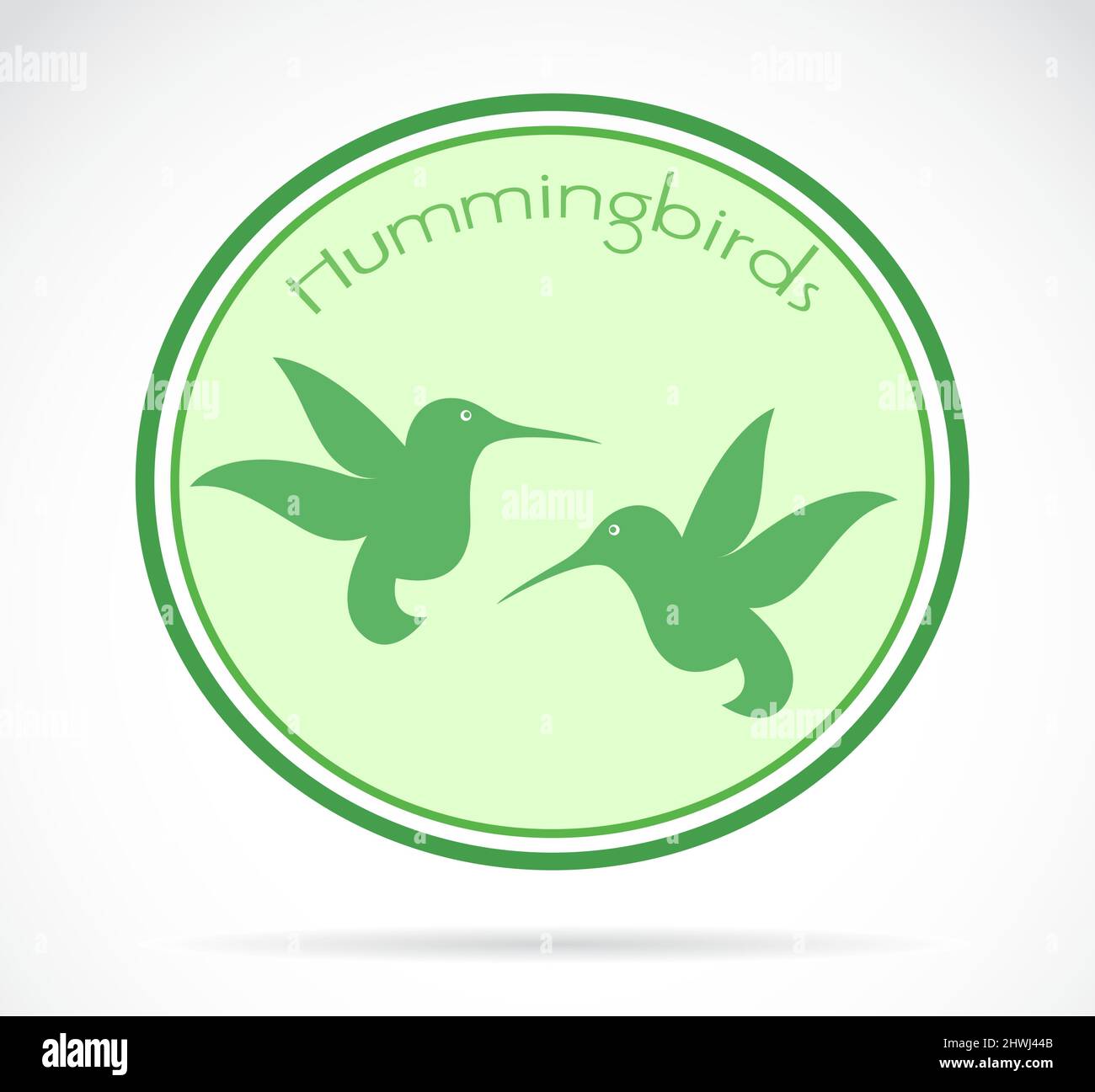 Vector image of an hummingbird on white background. Easy editable ...