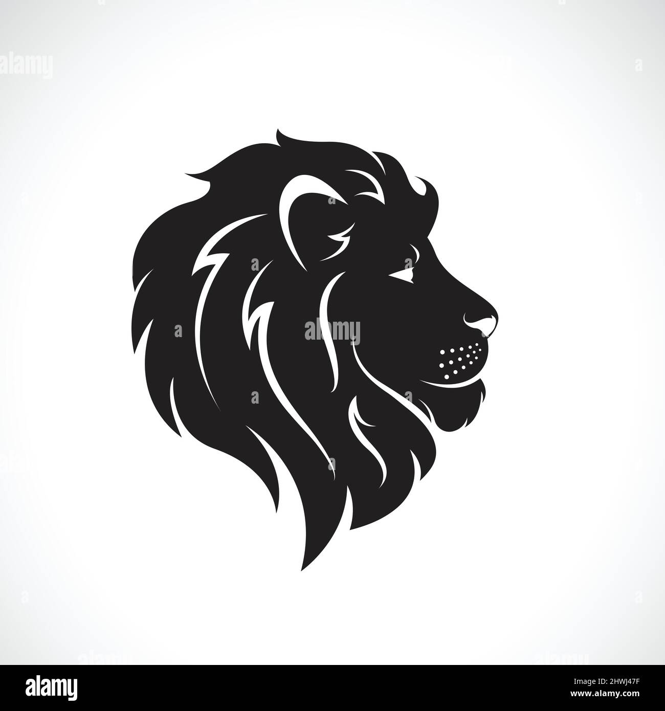 Vector of male lion head design on a white background., Wild Animals ...