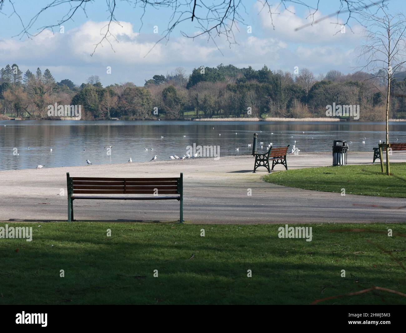 Lurgan park spring hi-res stock photography and images - Alamy