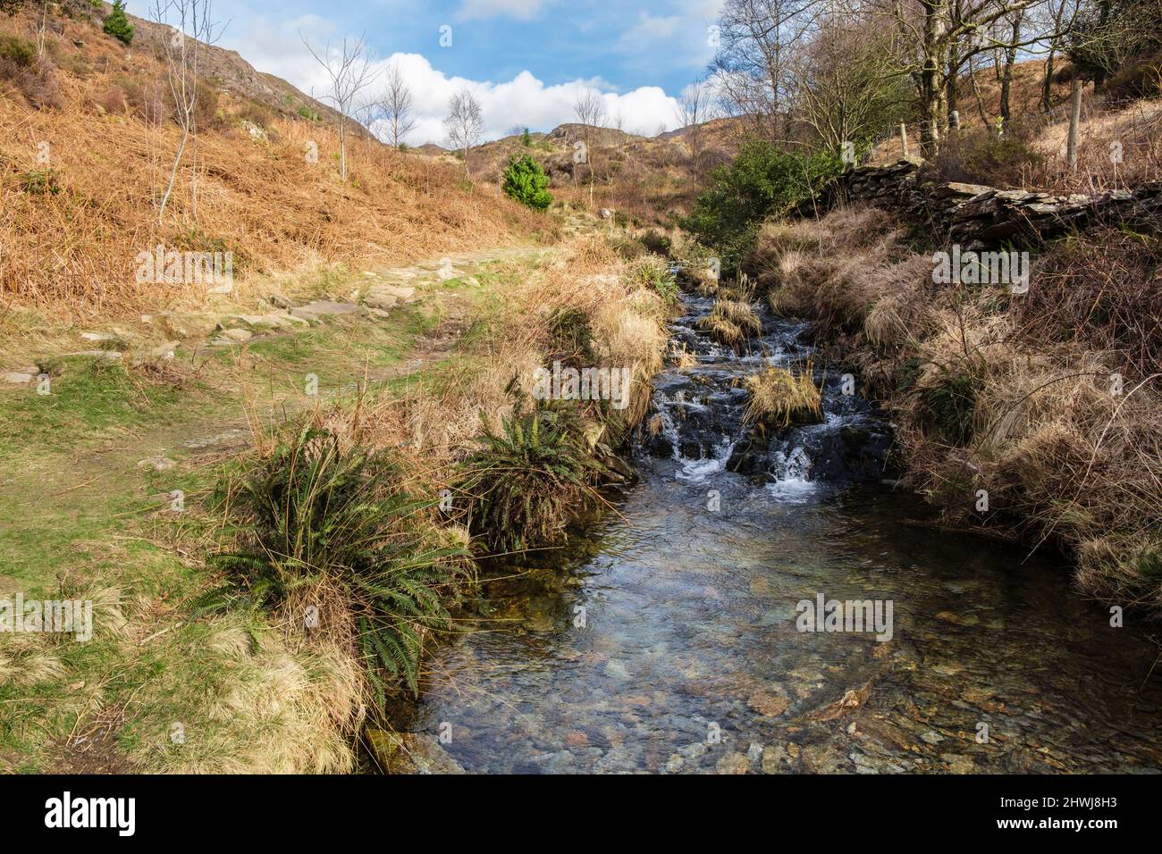 Cwm bychan hi-res stock photography and images - Alamy