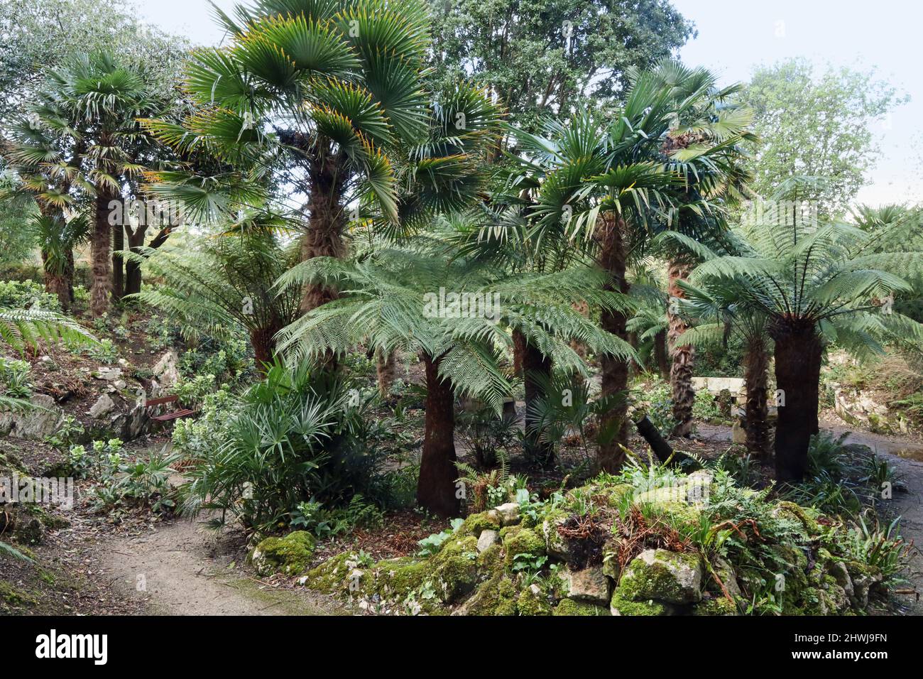 The Fern Dell and Pets Cemetery in the corner of the formal gardens at ...