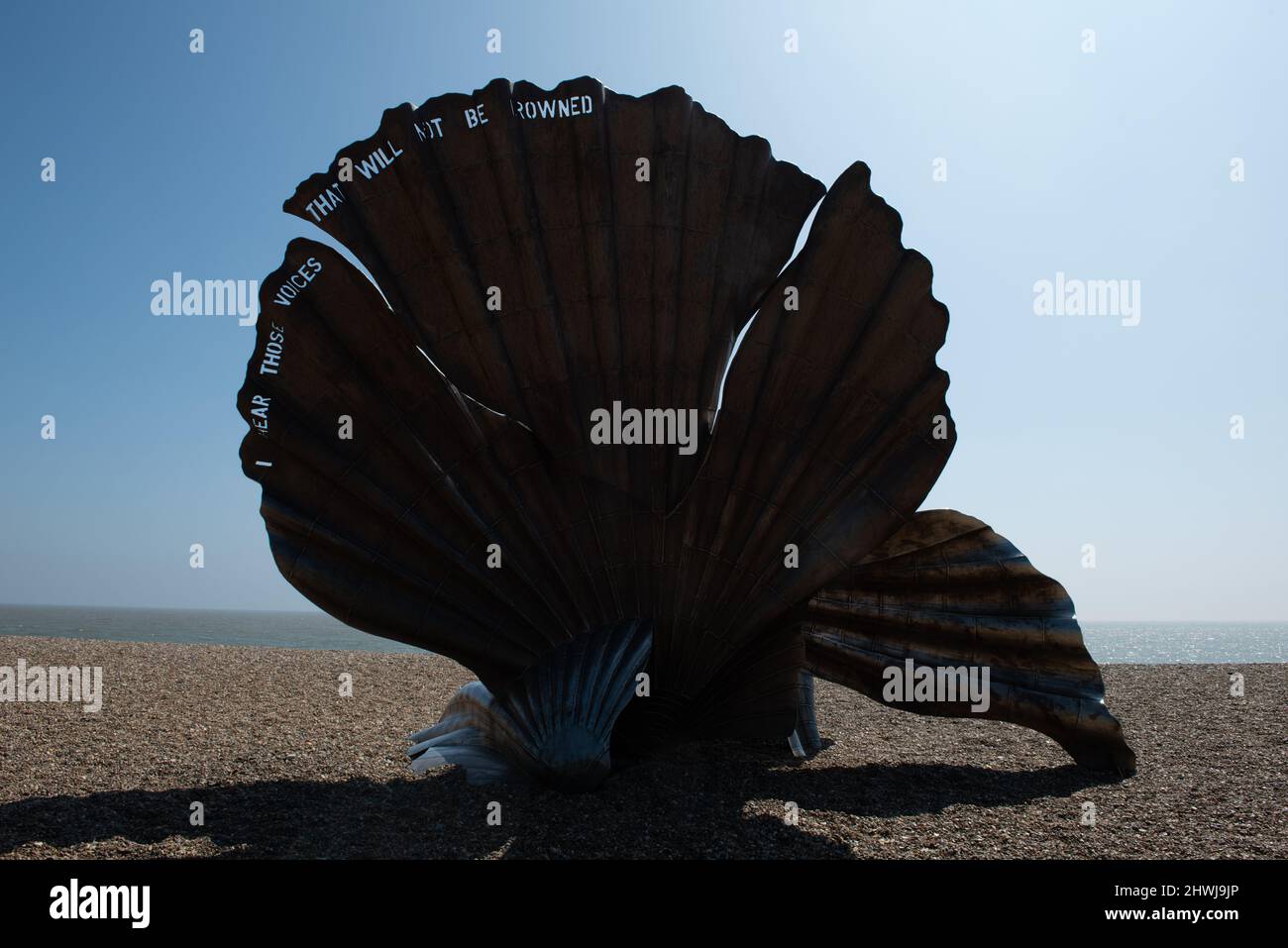 Shell at Aldeburgh Beach Stock Photo - Alamy