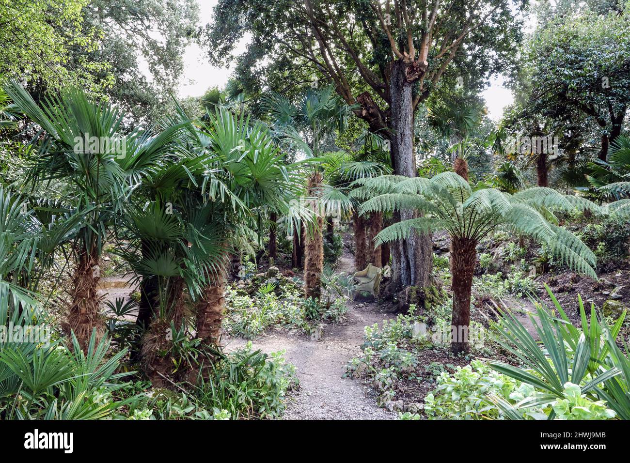 The Fern Dell and Pets Cemetery in the corner of the formal gardens at ...