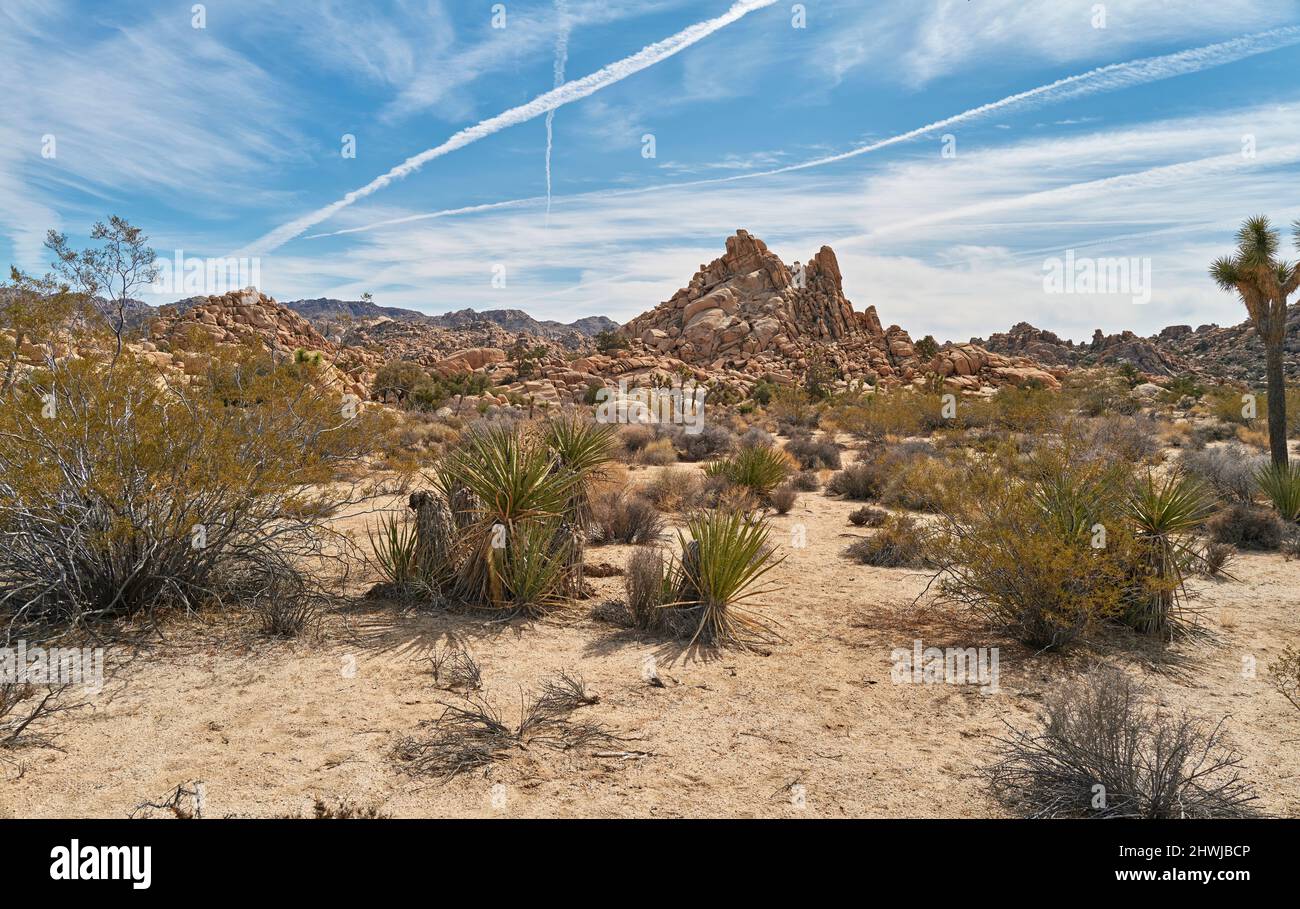 Joshua Tree National Park Stock Photo - Alamy