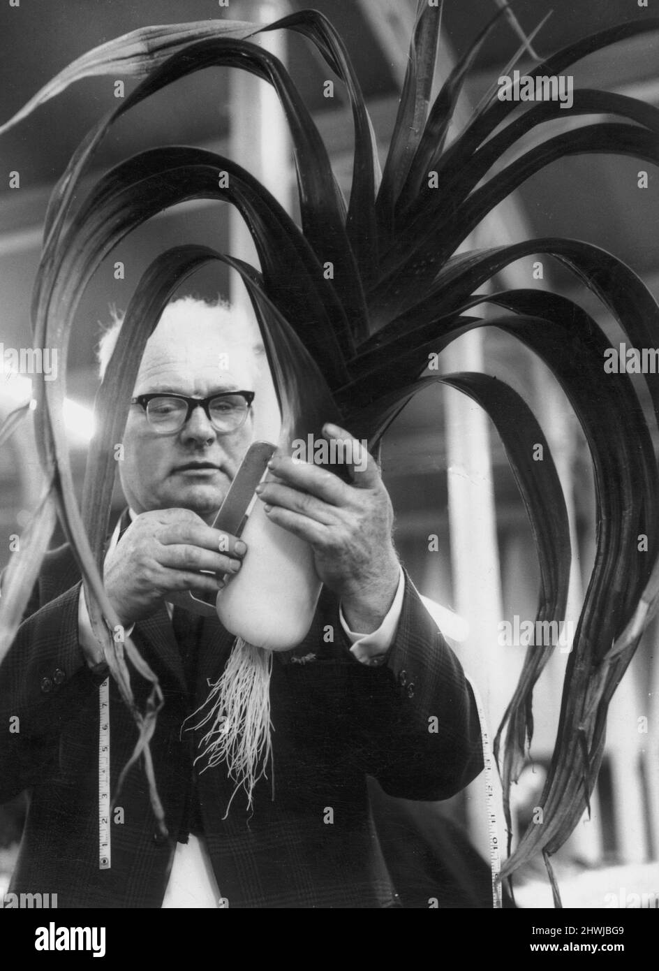 Arthur Wilson, judge in the First North Eastern open championship for ...