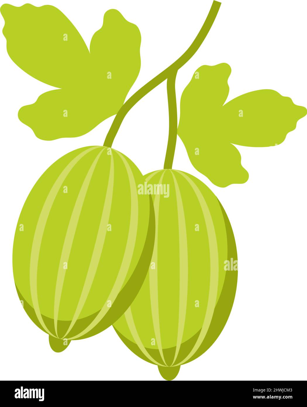Gooseberry garden Stock Vector Images - Alamy