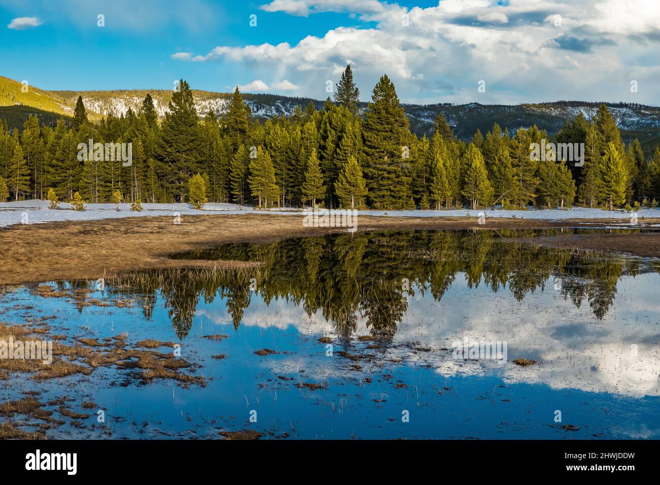 Ephemeral pond hi-res stock photography and images - Alamy