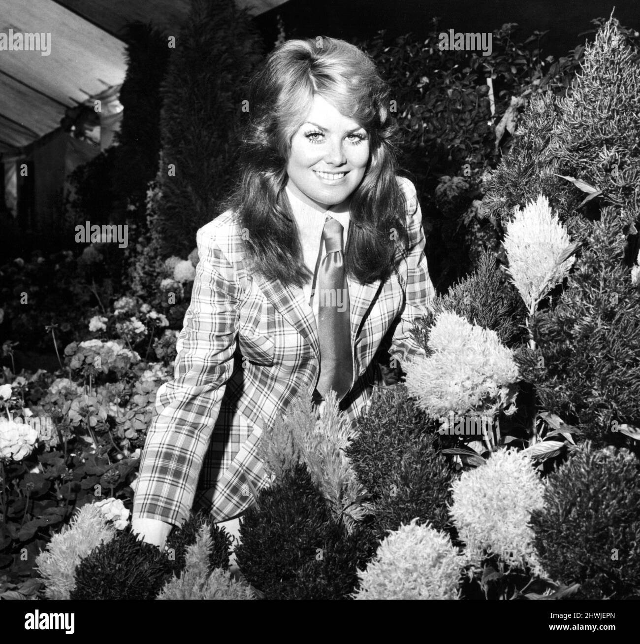 Annual flower show Black and White Stock Photos & Images - Alamy