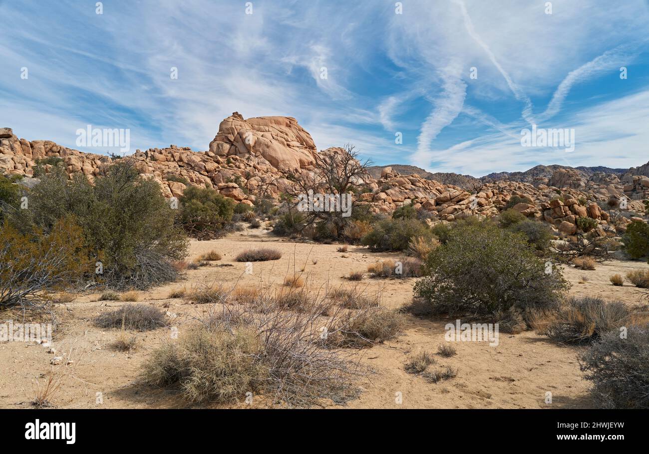 Joshua Tree National Park Stock Photo - Alamy