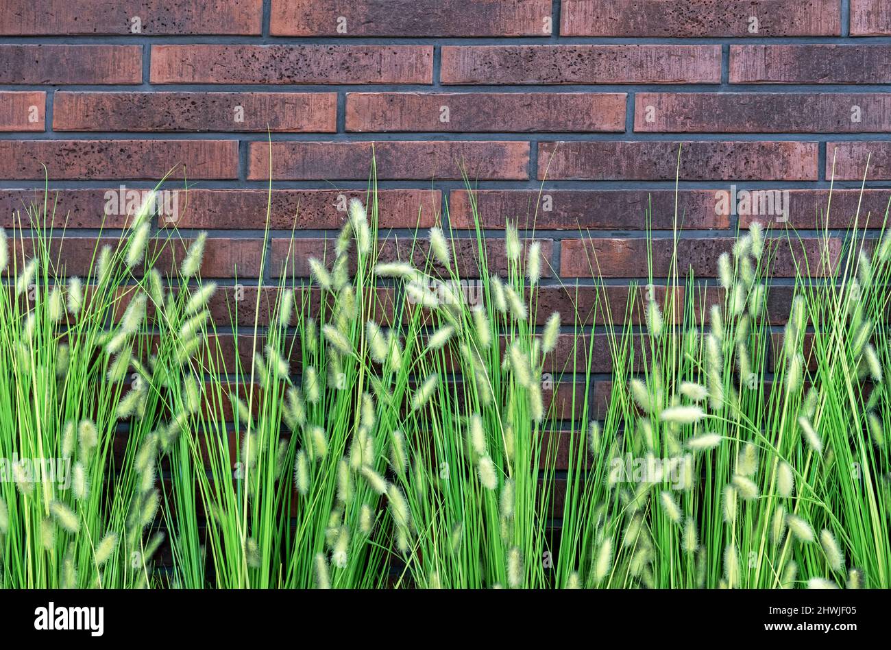 Brick wall with green meadow grass in the foreground Stock Photo - Alamy