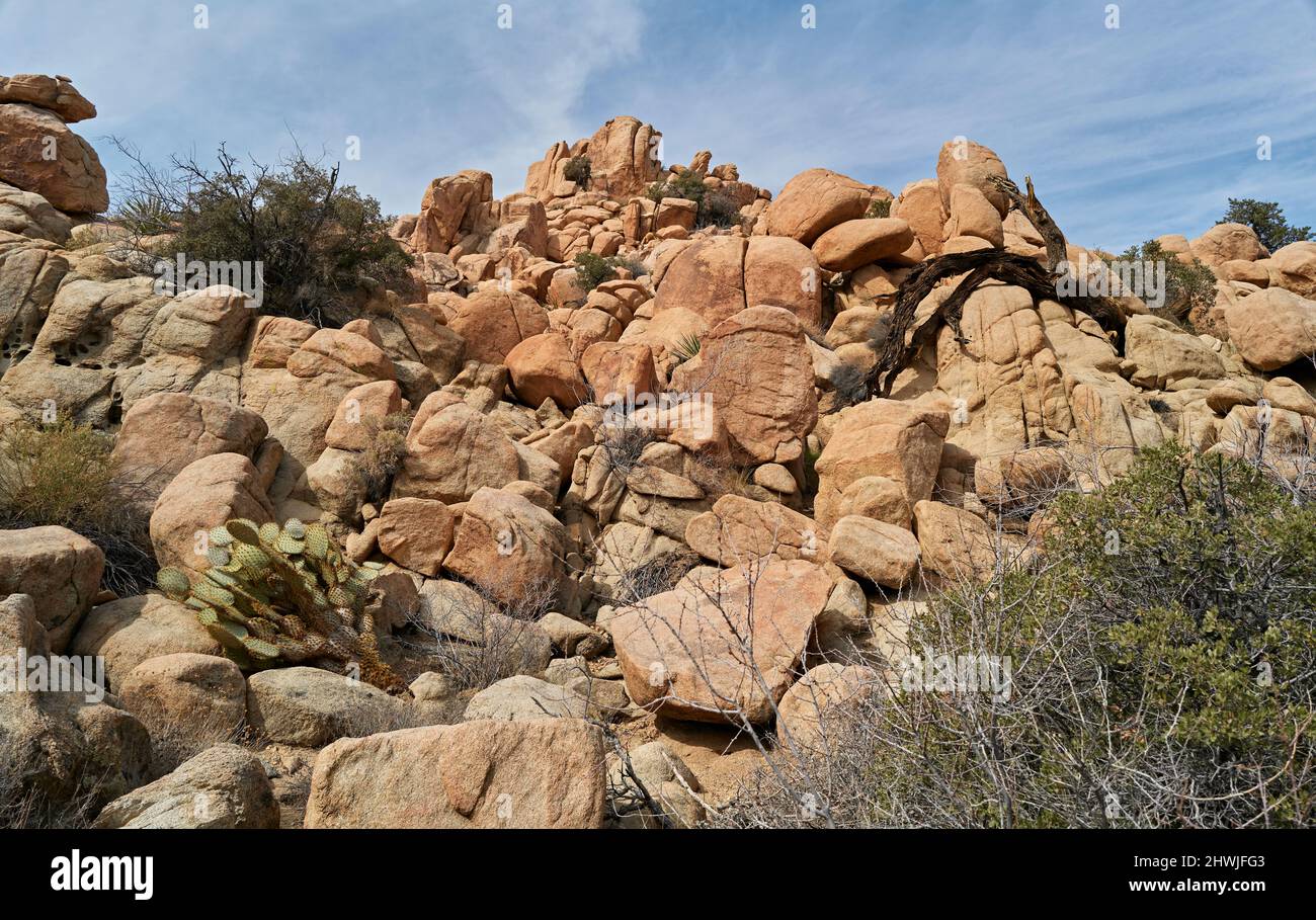 Joshua Tree National Park Stock Photo - Alamy